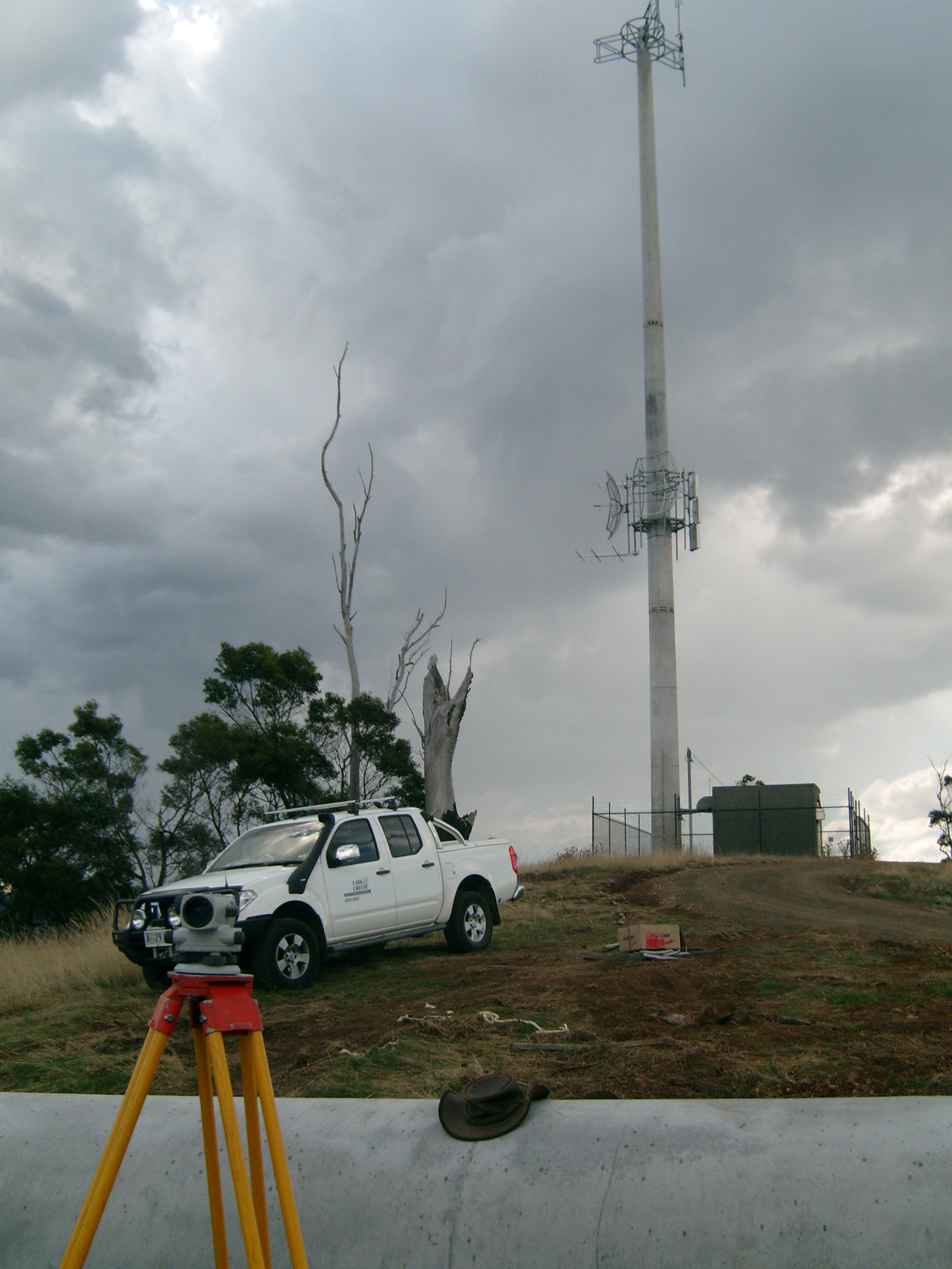 S7300658 - Lark & Creese